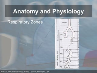 Ventilation: Basic Principles | PPT