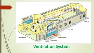 Ventilation System in Poultry Farming | PPTX