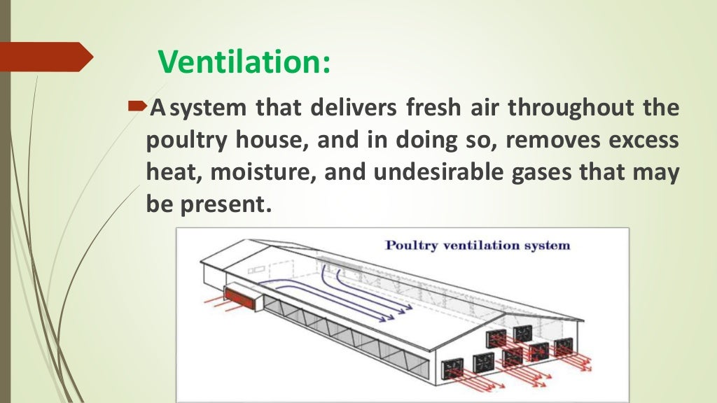 Ventilation System in Poultry Farming