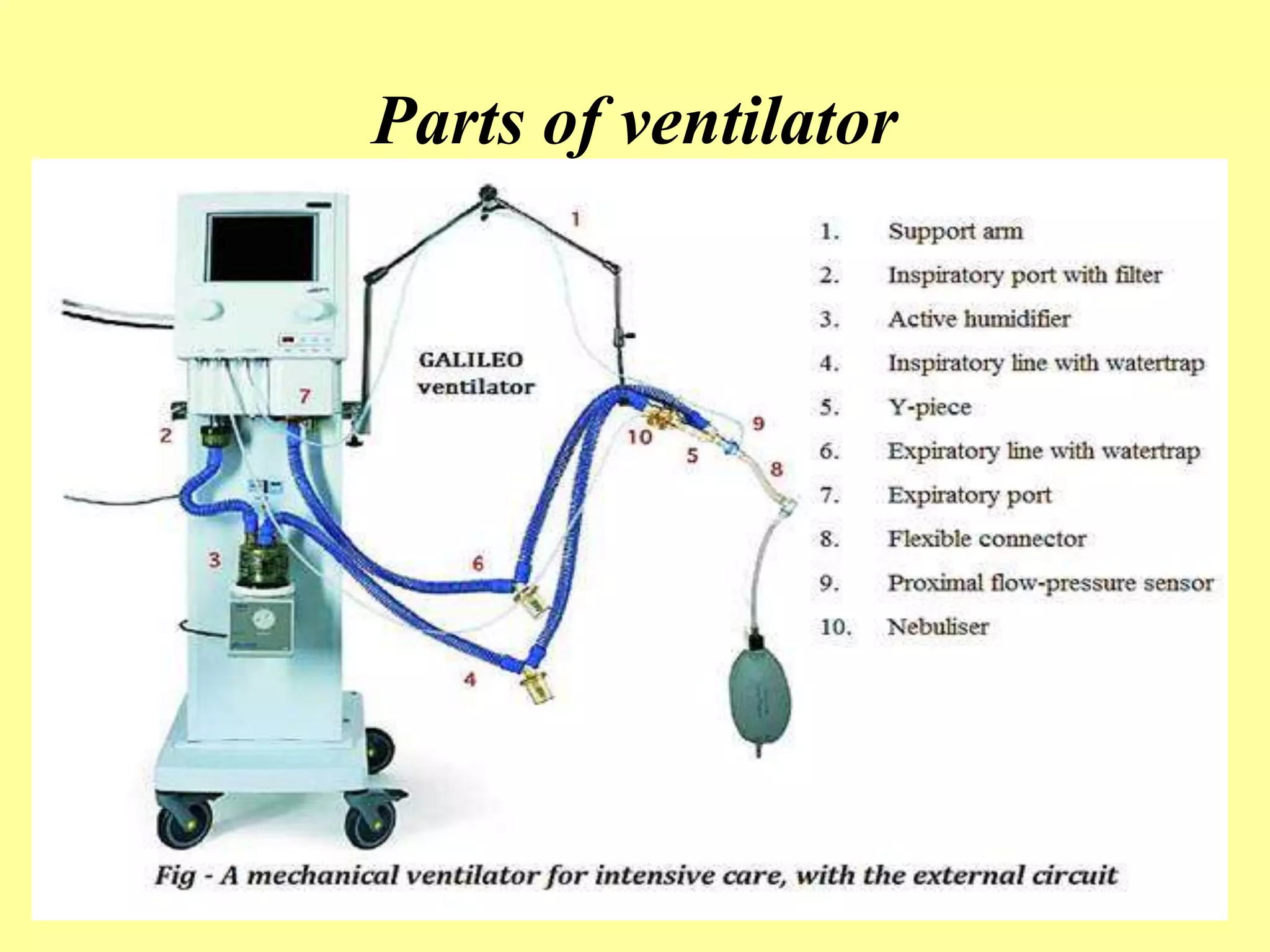 Mechanical Ventilation Pptx