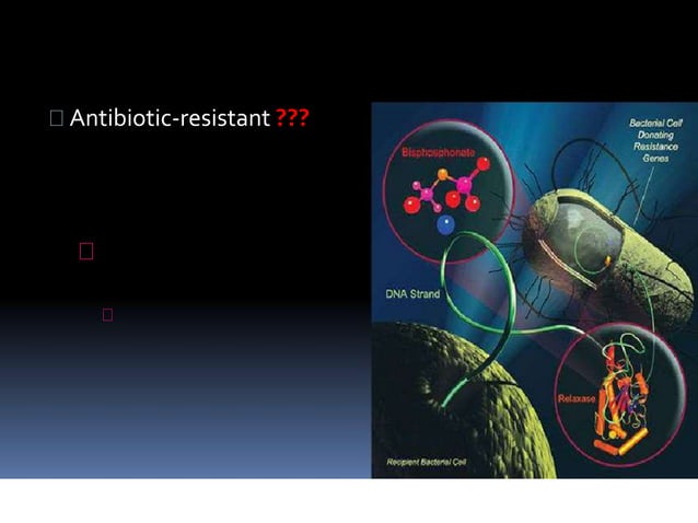 Ventilator associated infections VAP | PPT | Lung and Respiratory ...