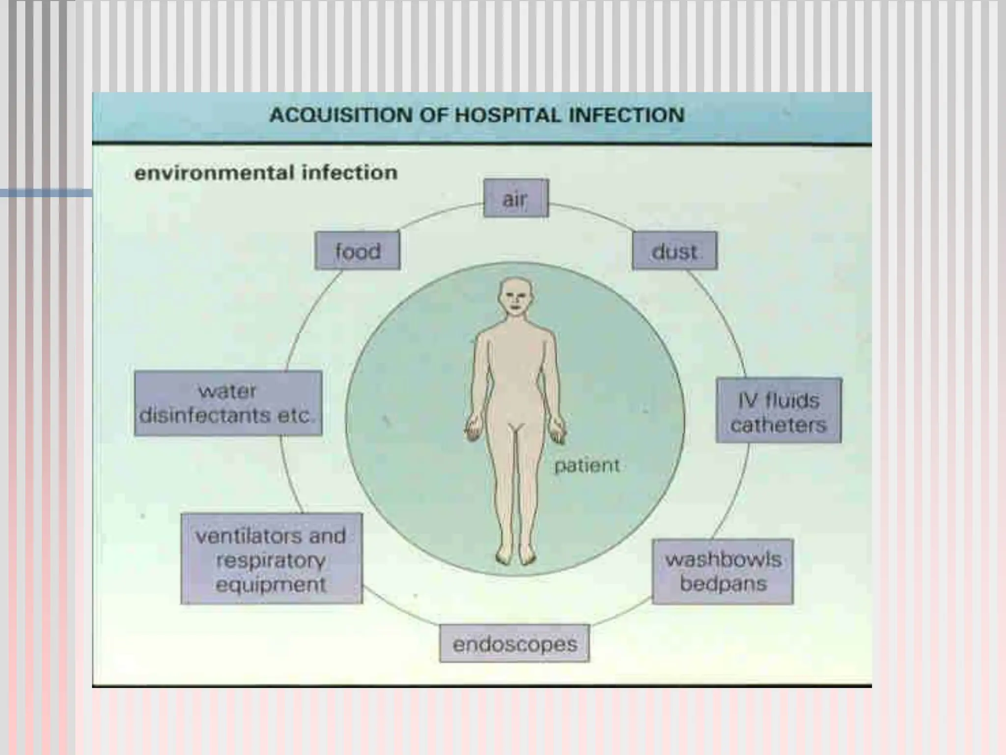 Ventilator Associated Pneumonia in ICU.ppt | Infectious Diseases ...