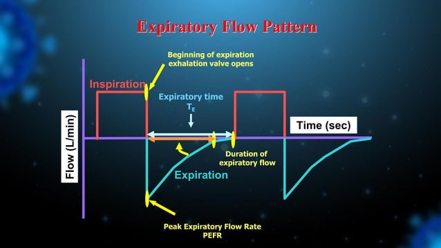 VENTILATOR ASYNCHRONY pathophysiology and clinical relevance | PDF ...