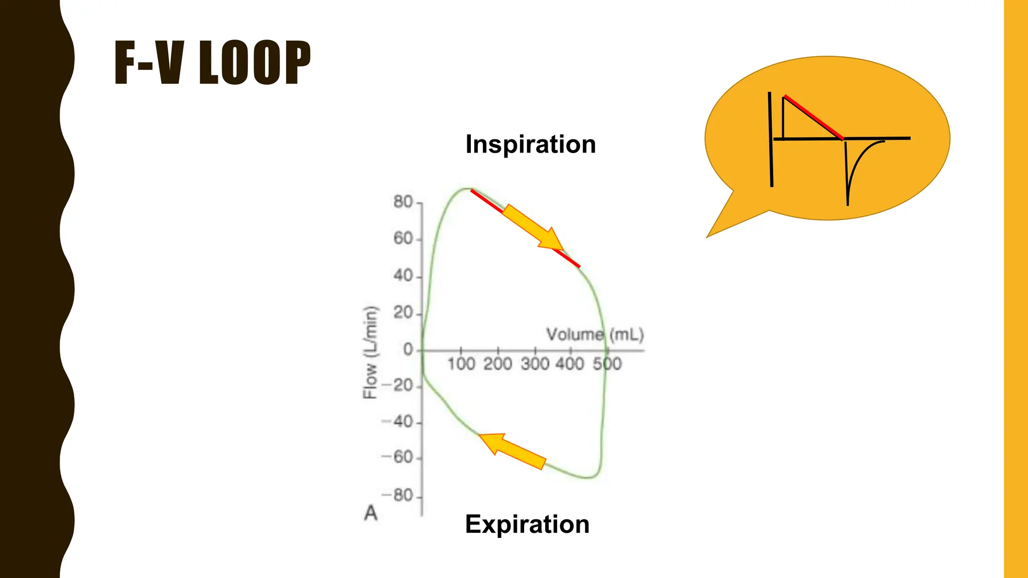 ventilator graphics that shows scalar and loops | PDF