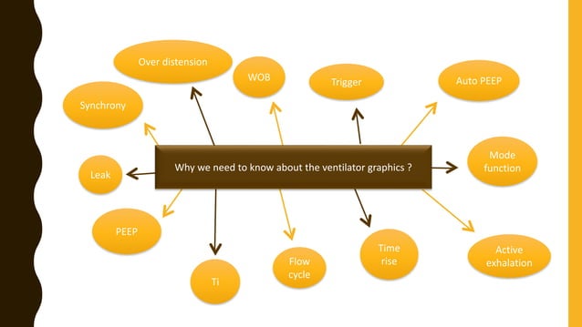 ventilator graphics that shows scalar and loops | PDF