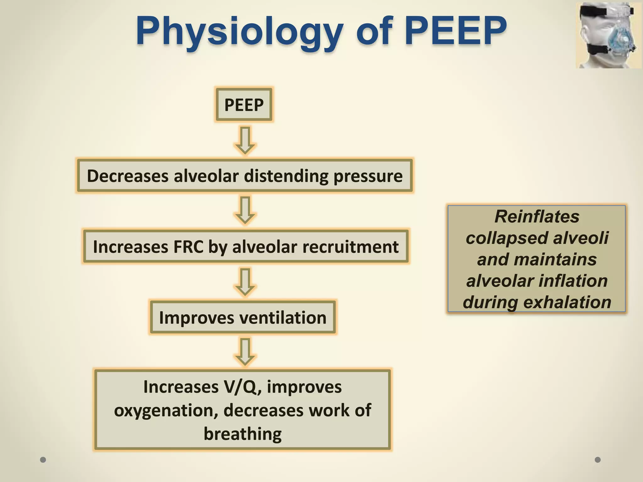 Ventilator in Critical Care | PPTX