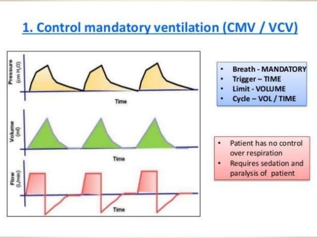Ventilator in Critical Care | PPTX | Lung and Respiratory Health ...