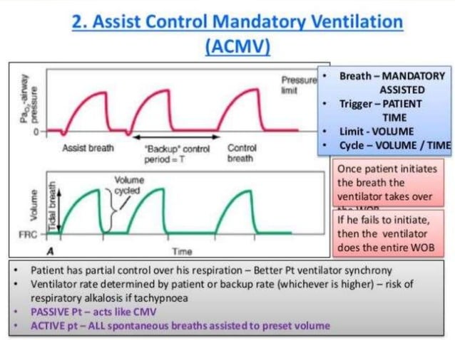Ventilator in Critical Care | PPTX | Lung and Respiratory Health ...