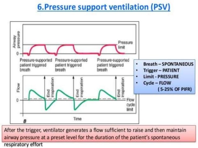 Ventilator in Critical Care | PPTX | Lung and Respiratory Health ...