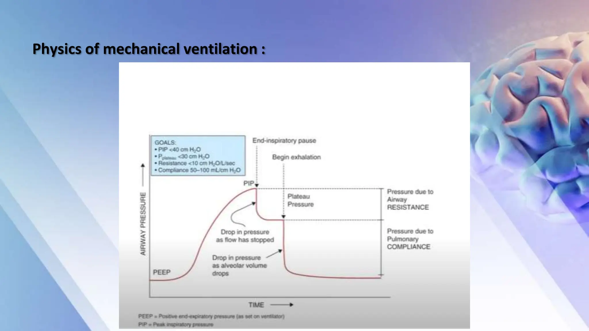 Mechanical ventilation to understand basics of mechanical ventilation ...