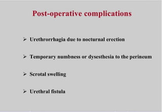 Ventral oral mucosal onlay graft urethroplasty | PPT