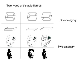 Ventral stream | PPT
