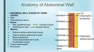 VENTRAL WALL HERNIA.pptx