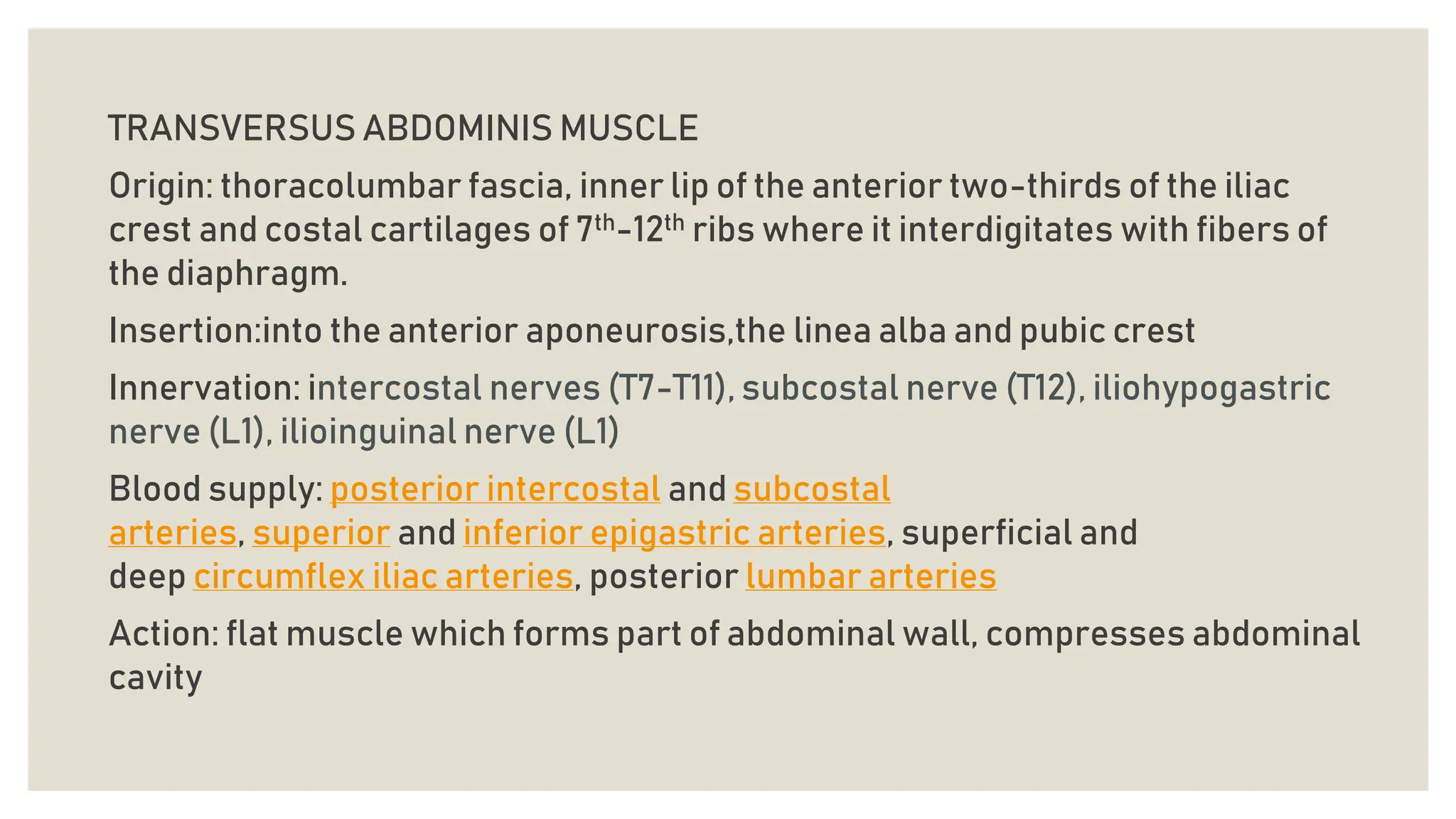 VENTRAL WALL HERNIA.pptx