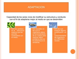 Caracteristicas de los seres vivos | PPTX
