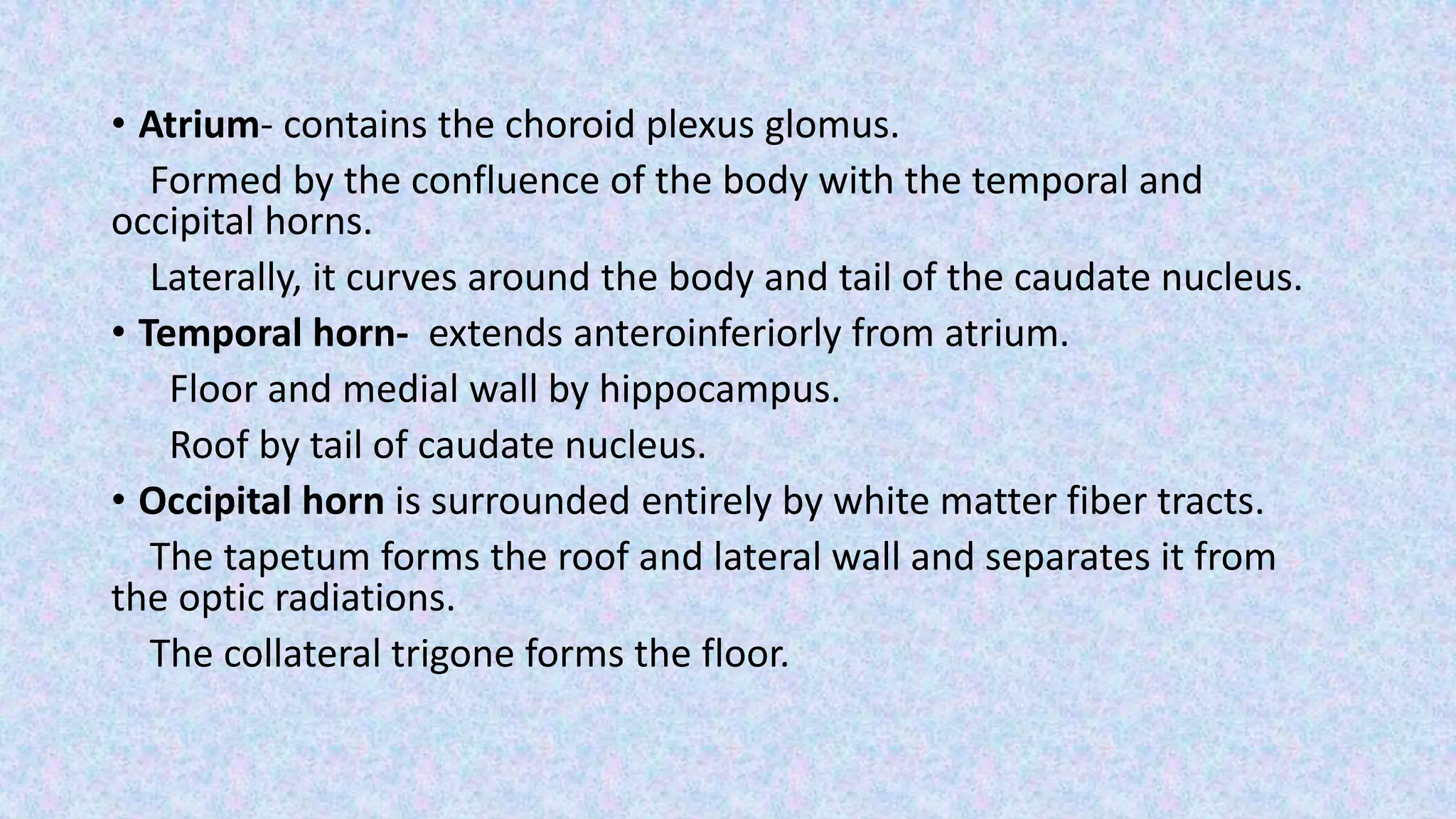 VENTRICLES AND CISTERNS OF HUMAN BRAIN.pptx
