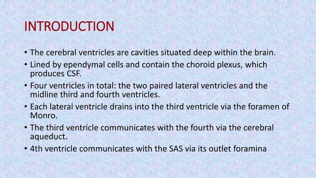 VENTRICLES AND CISTERNS OF HUMAN BRAIN.pptx | Brain and Nervous System Disorders | Diseases and ...