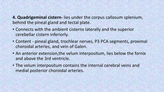 VENTRICLES AND CISTERNS OF HUMAN BRAIN.pptx