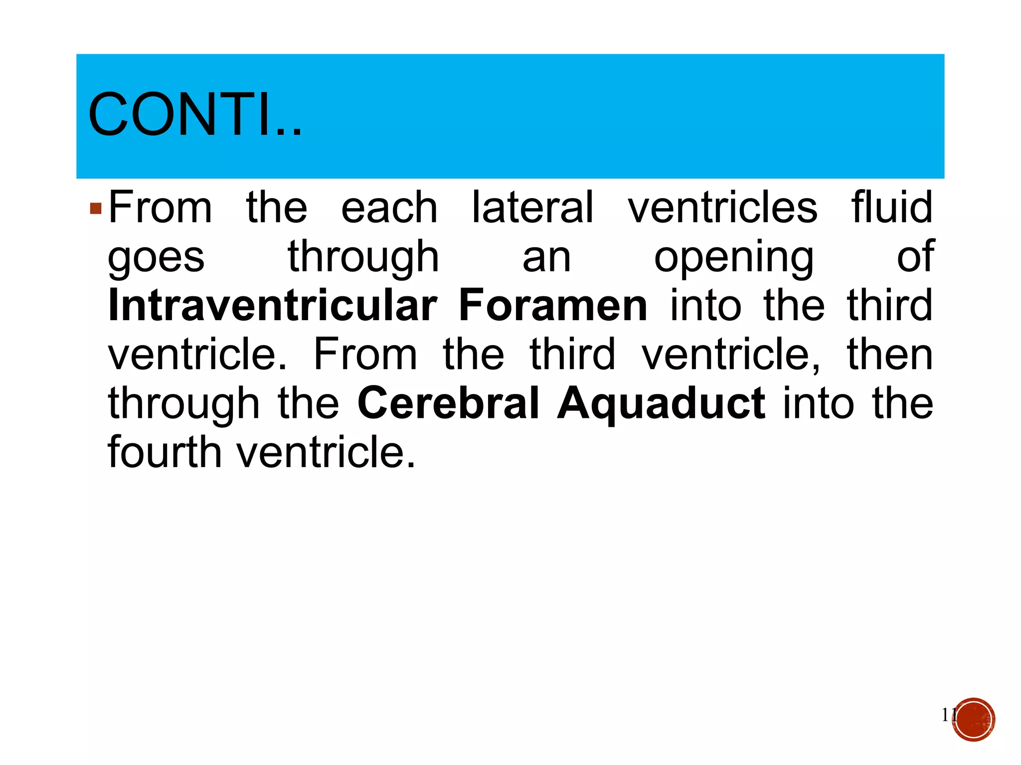 Ventricles and csf | PPT