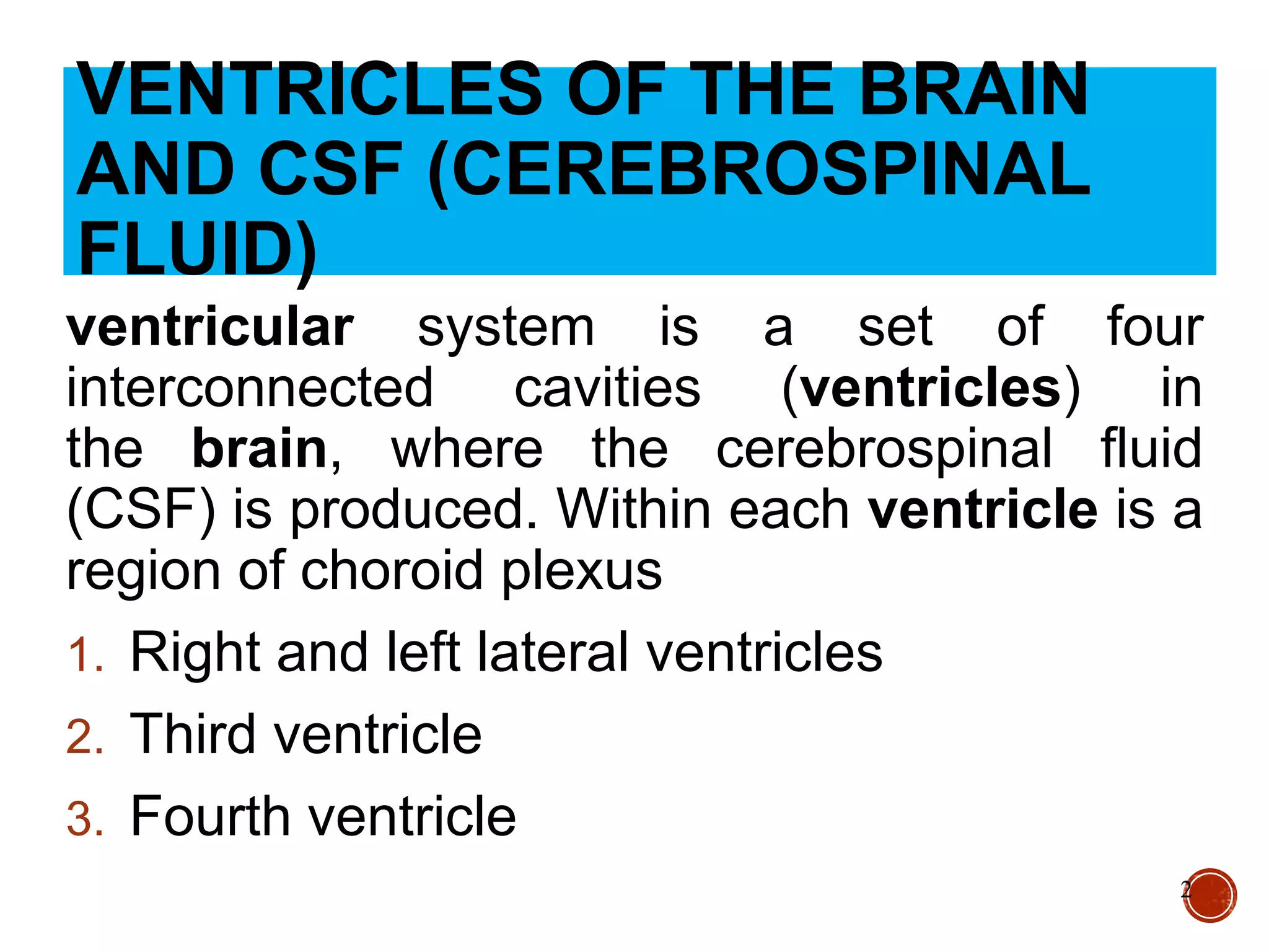 Ventricles and csf | PPT