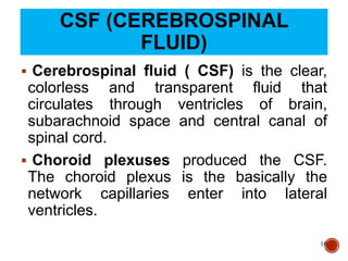 Ventricles and csf | PPT