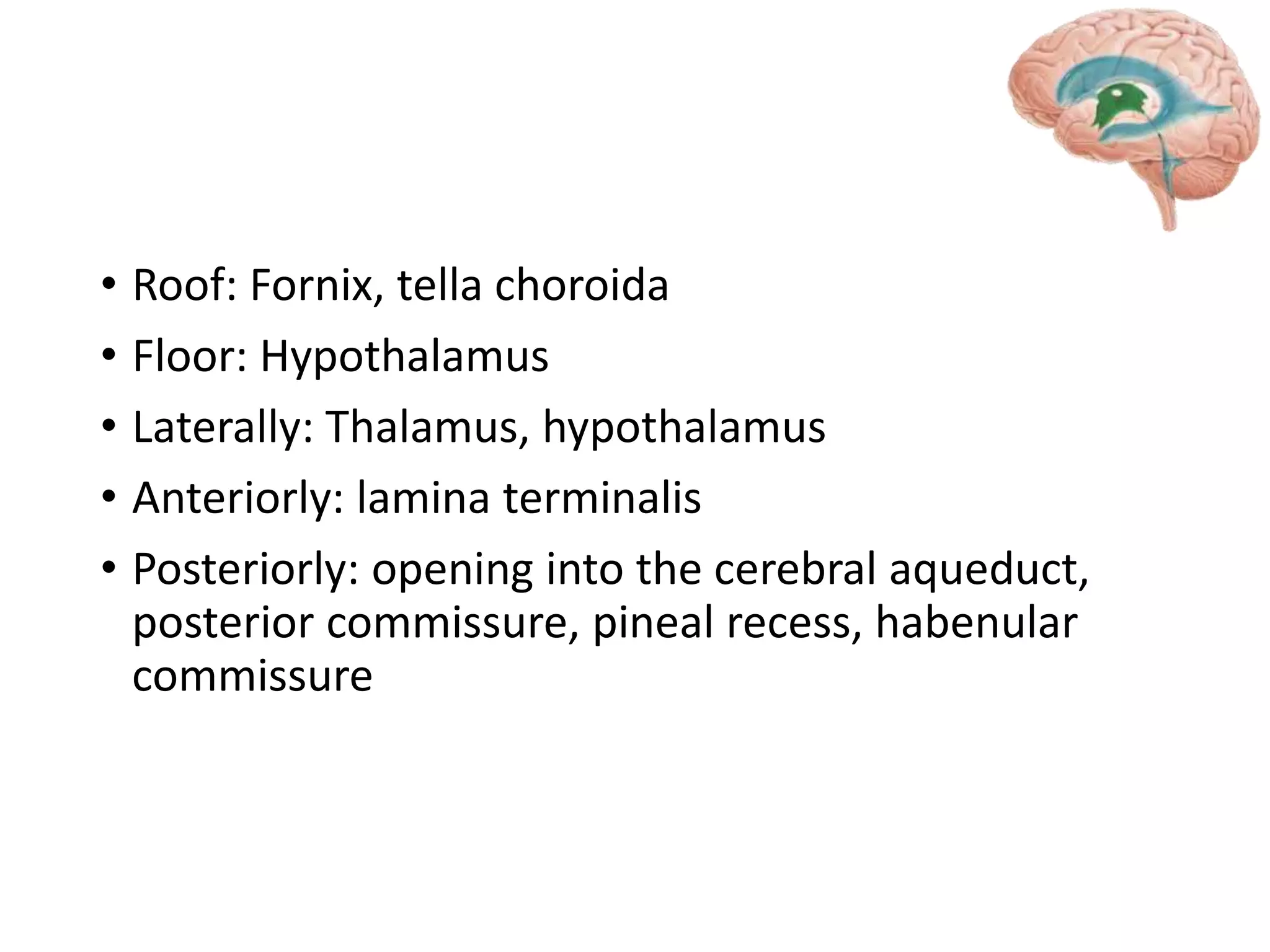 Ventricles of the brain | PPTX