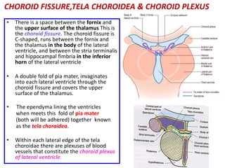 Ventricles of the brain | PPT