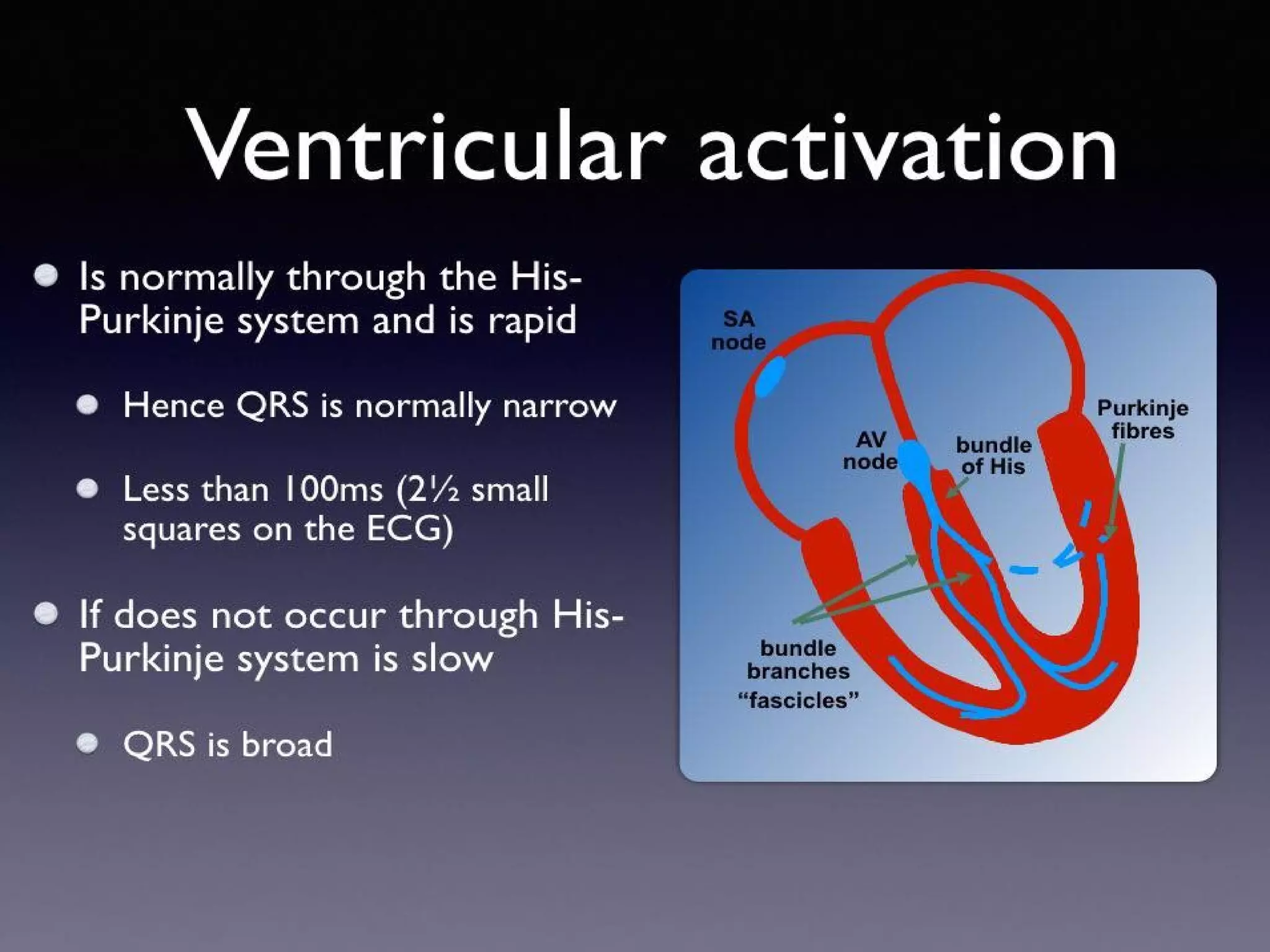 Ventricular activation | PPT
