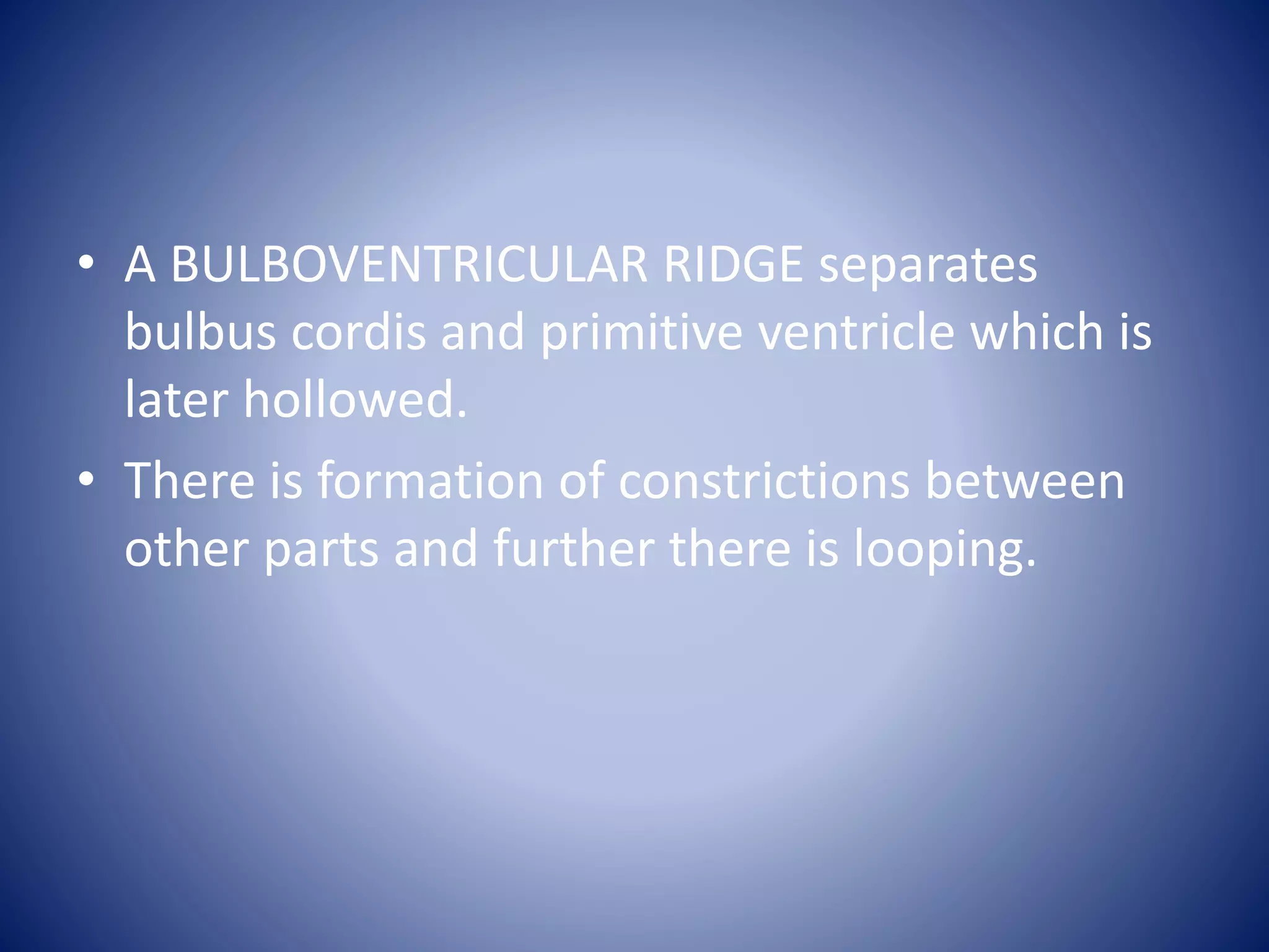 Ventricular development | PPTX