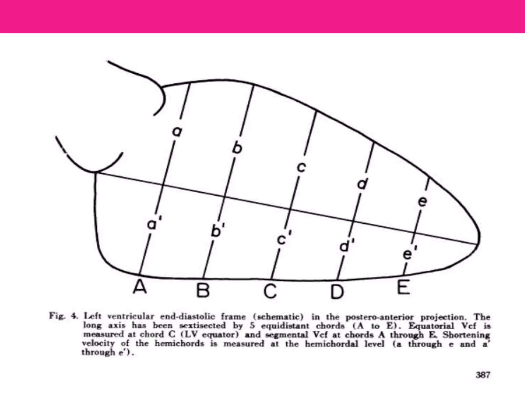 Ventricular PV loop 2019 | PPTX