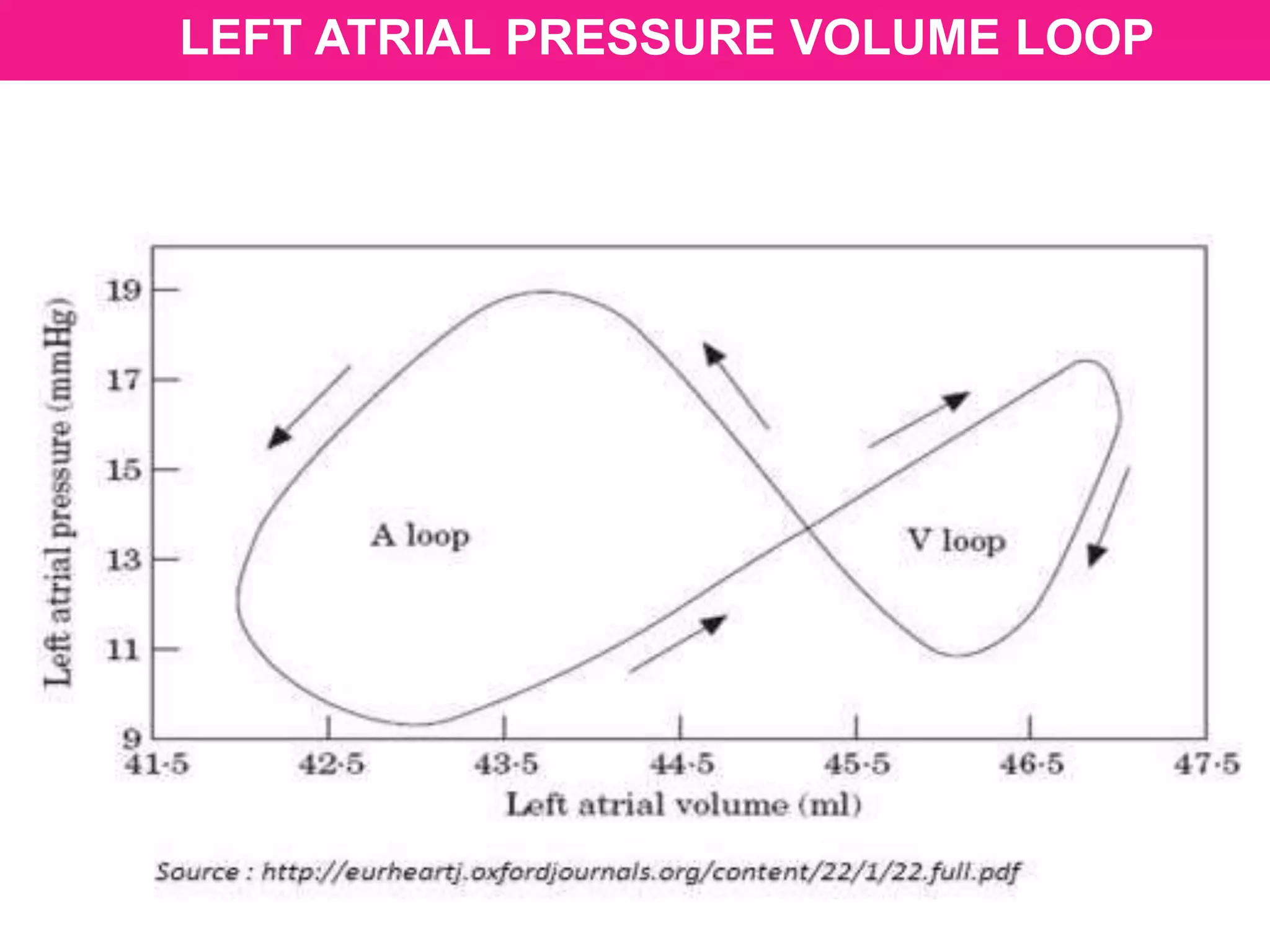 Ventricular PV loop 2019 | PPTX
