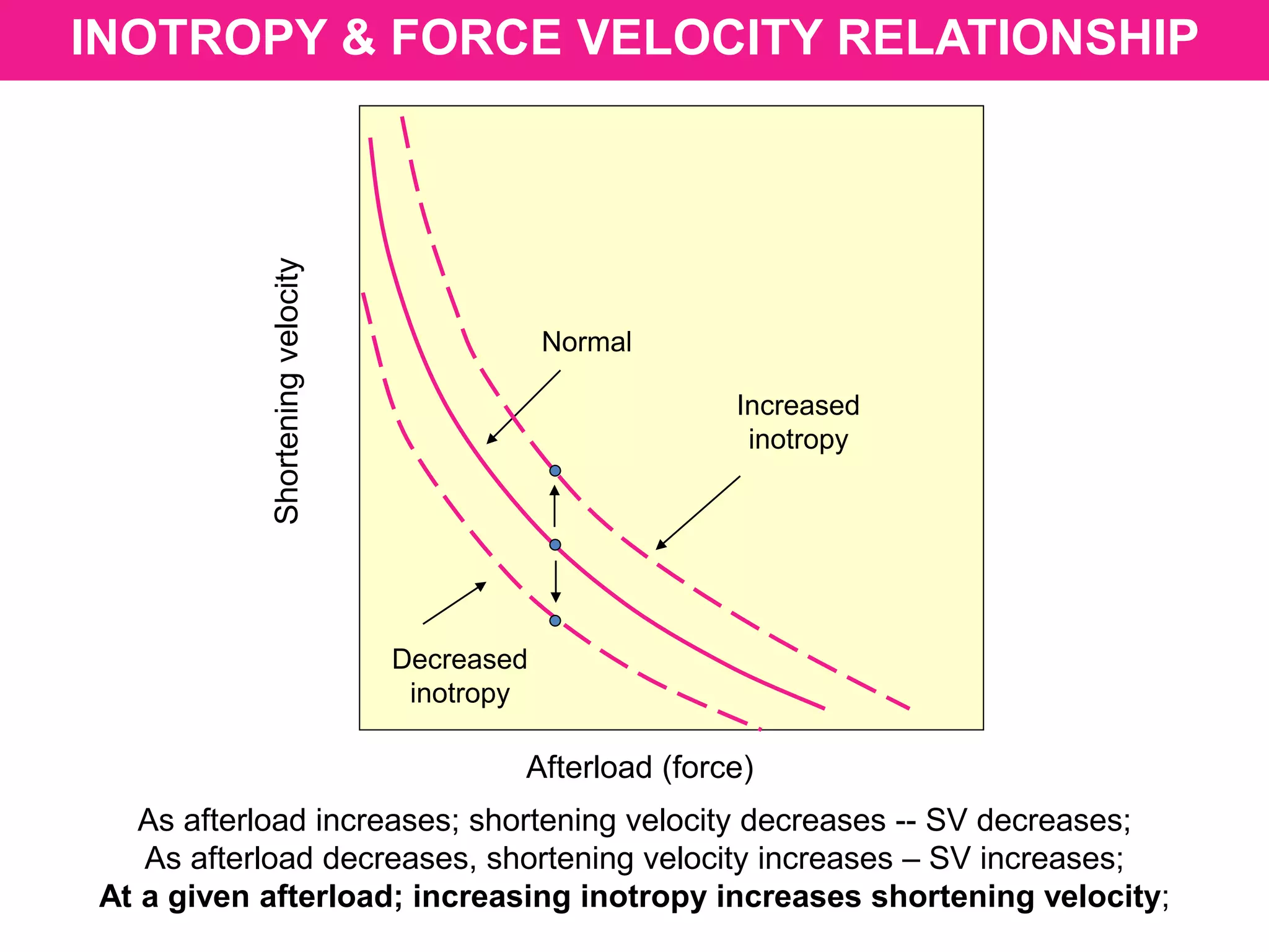 Ventricular PV loop 2019 | PPTX