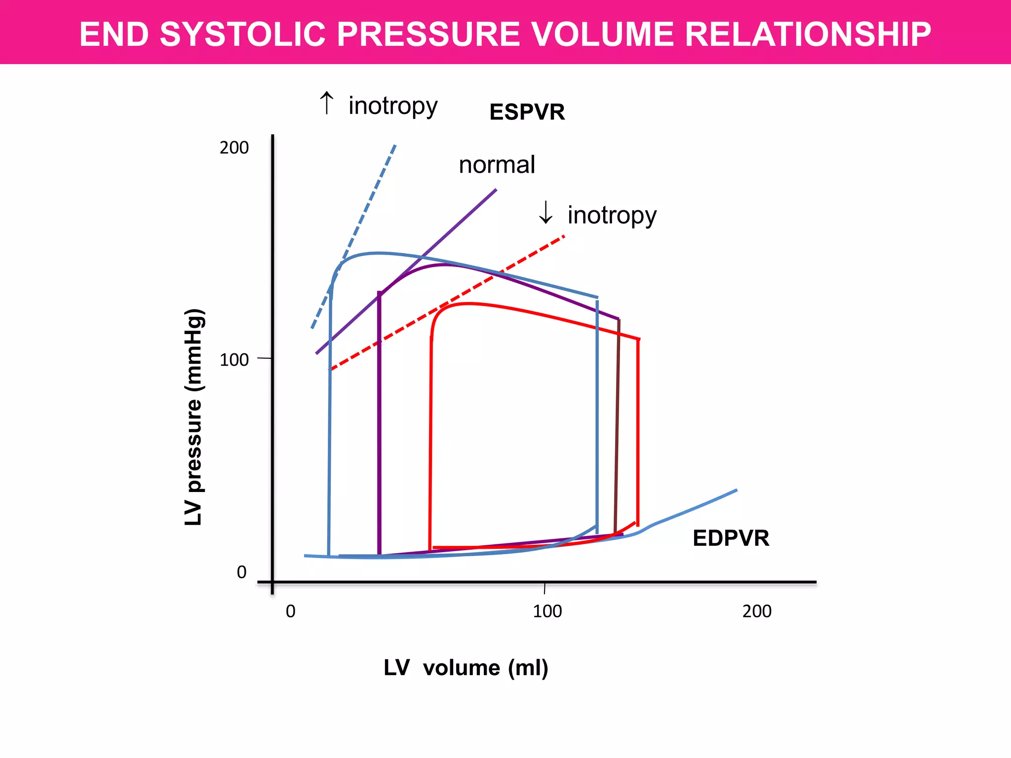 Ventricular PV loop 2019 | PPTX | Heart and Cardiovascular Diseases ...