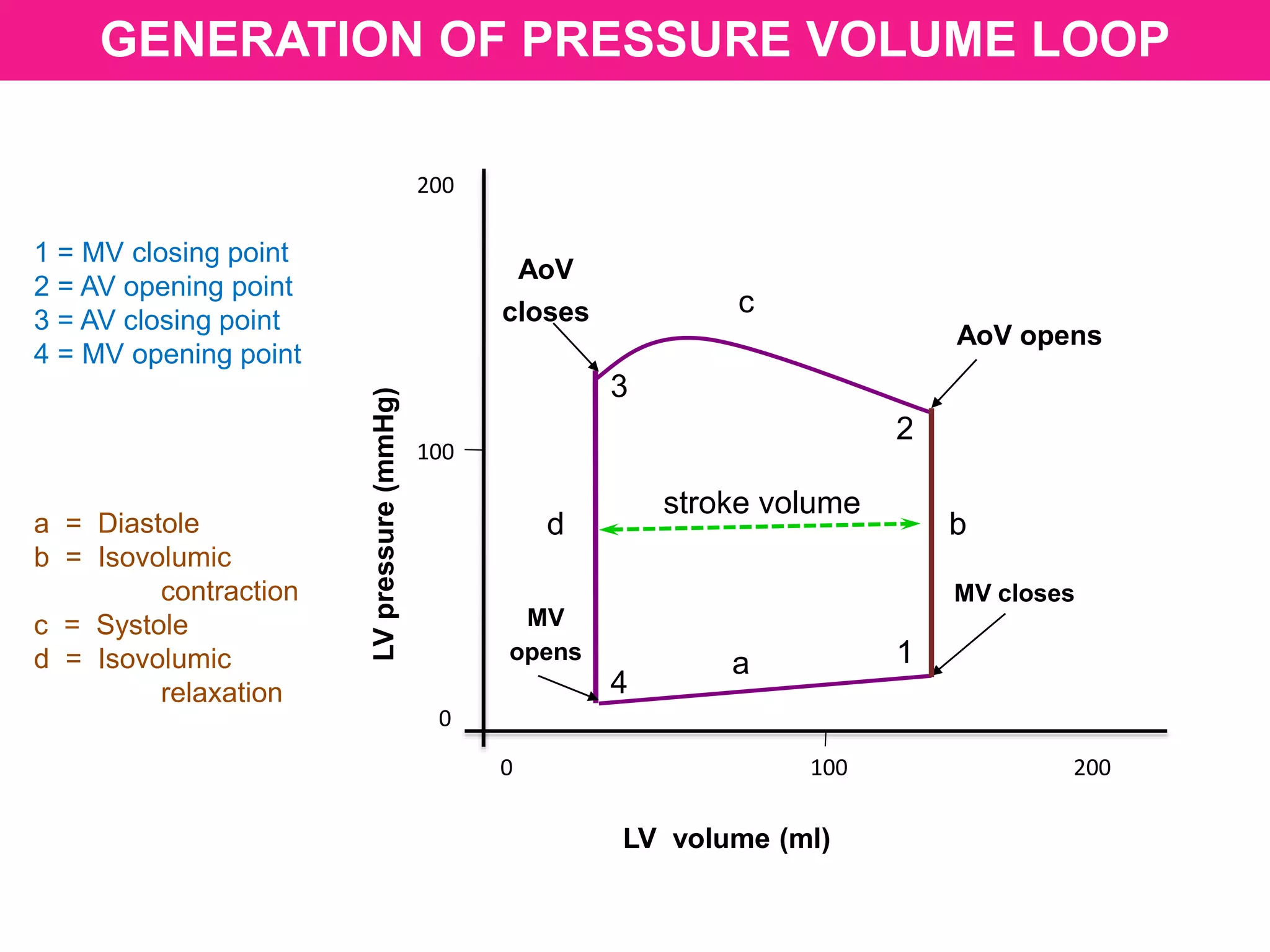 Ventricular PV loop 2019 | PPTX