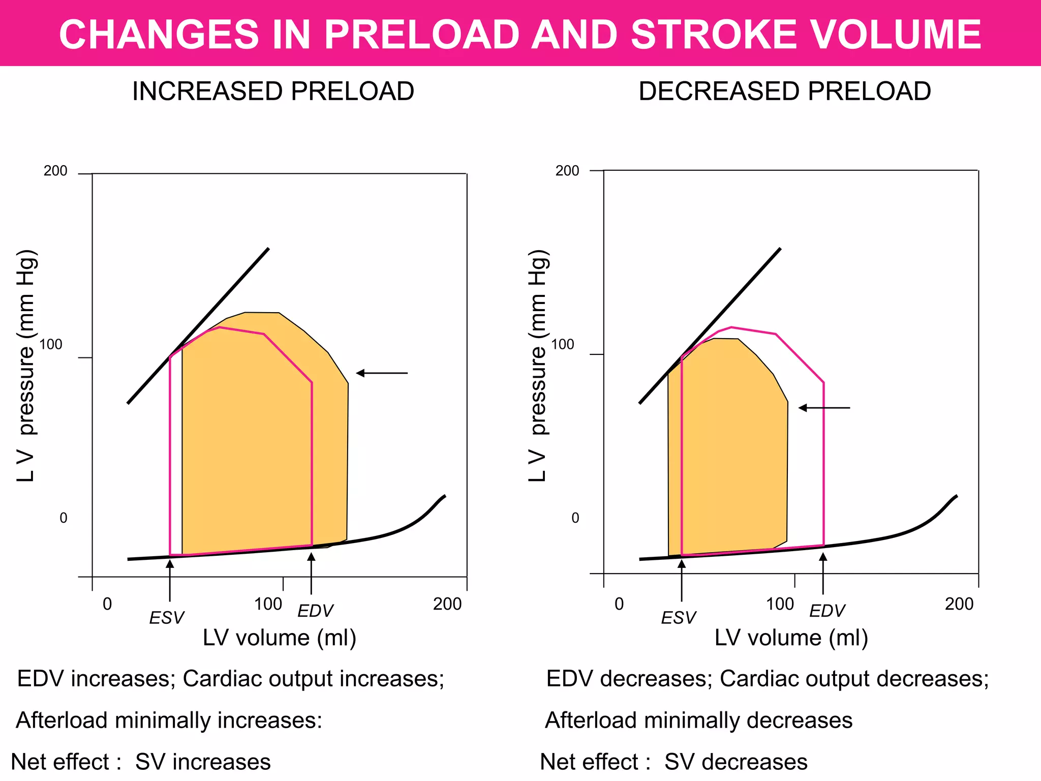 Ventricular PV loop 2019 | PPTX