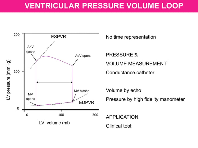 Ventricular PV loop 2019 | PPTX | Heart and Cardiovascular Diseases ...