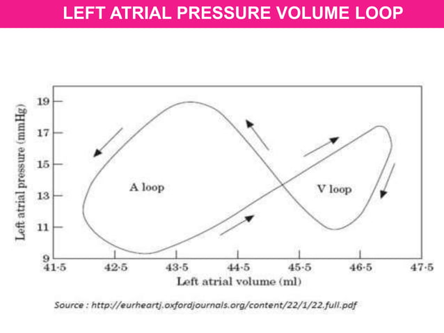 Ventricular PV loop 2019 | PPTX | Heart and Cardiovascular Diseases ...