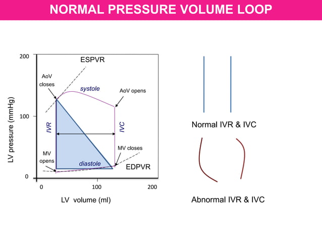 Ventricular PV loop 2019 | PPTX | Heart and Cardiovascular Diseases ...