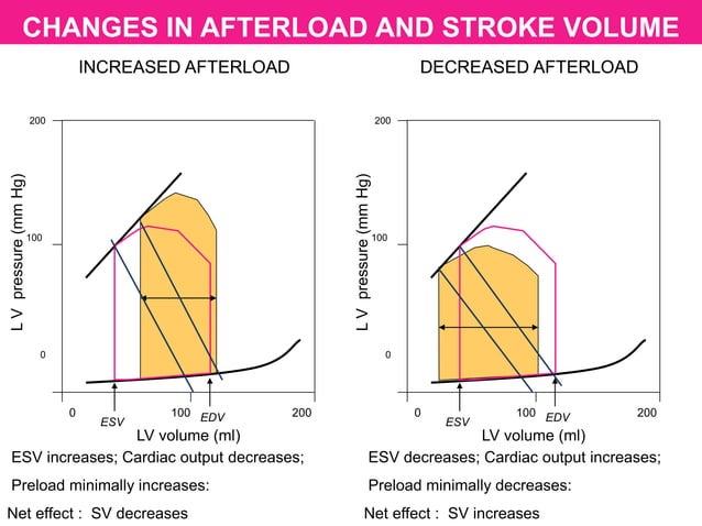 Ventricular PV loop 2019 | PPTX | Heart and Cardiovascular Diseases ...