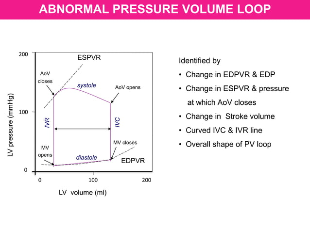 Ventricular PV loop 2019 | PPTX | Heart and Cardiovascular Diseases ...