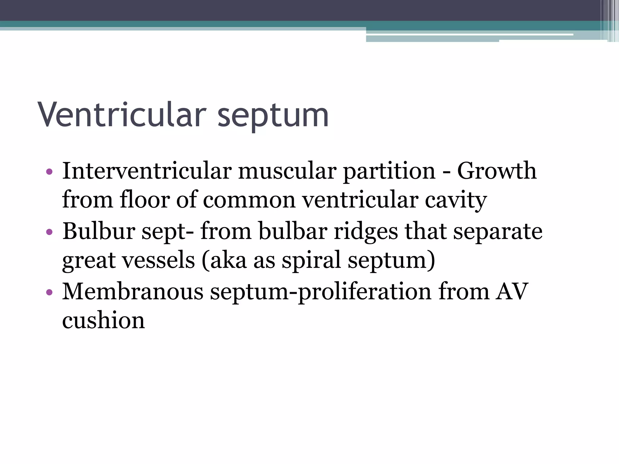 Ventricular septal defect (vsd) | PPTX