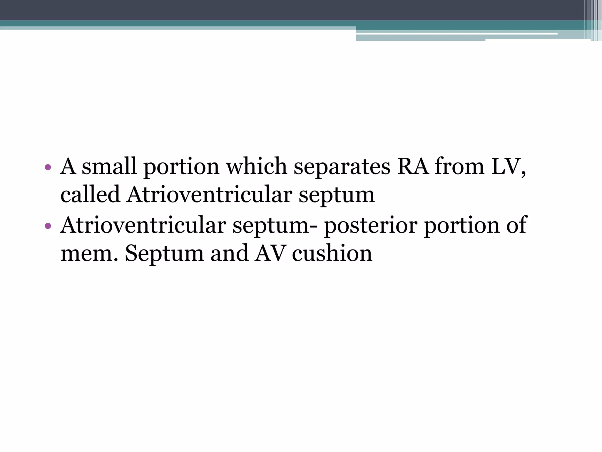 Ventricular septal defect (vsd) | PPTX