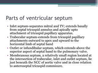 Ventricular septal defect (vsd) | PPTX