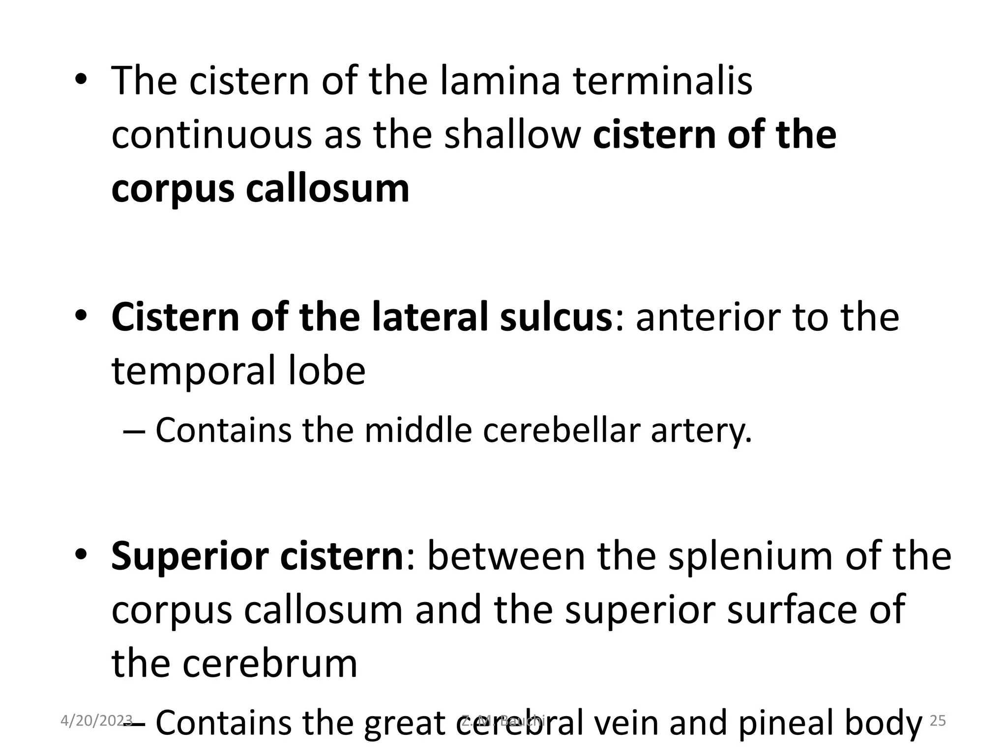 Ventricular System.ppt