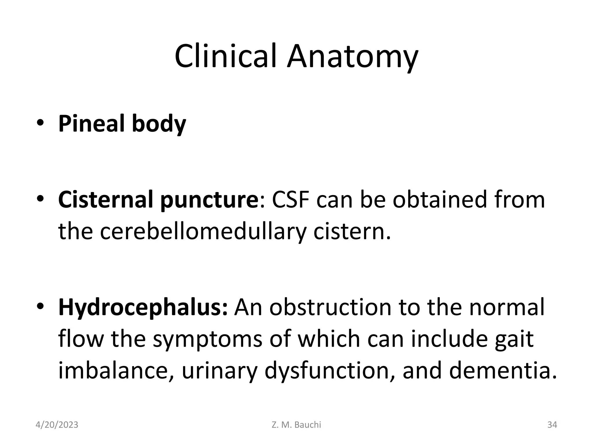 Ventricular System.ppt