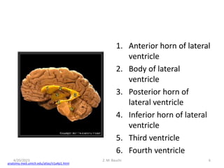 Ventricular System.ppt