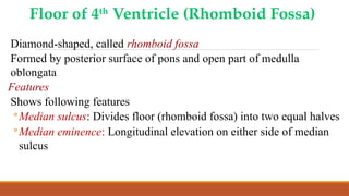 ventricular system of central nervous system | PPTX