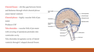ventricular system of central nervous system | PPTX