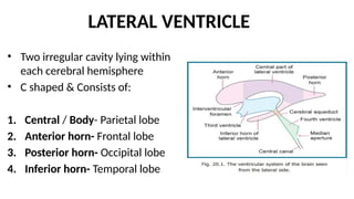 VENTRICULAR SYSTEM & BLOOD BRAIN BARRIER | PPTX