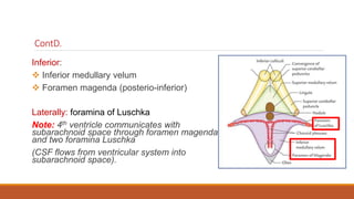 VENTRICULAR SYSTEM by Dr. Rabia Inam Gandapore.pptx